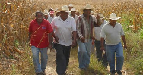 Gobierno Federal En Guanajuato SAGARPA Da A Conocer Resultados De