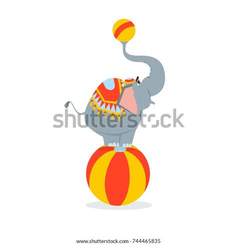 Evolution Residence Man Birth Old Age Stock Vector Royalty Free