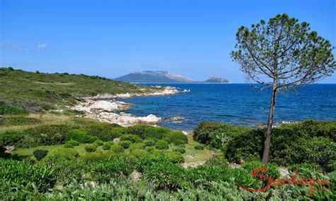 Olbia Idyllic Beaches Near The City Discover Sardinia