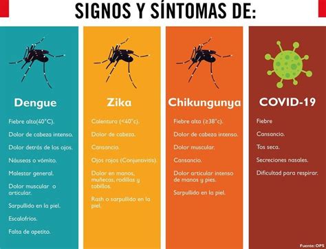 Cu Les Son Los S Ntomas Del Dengue Y La Fiebre Chikungunya El Yunque