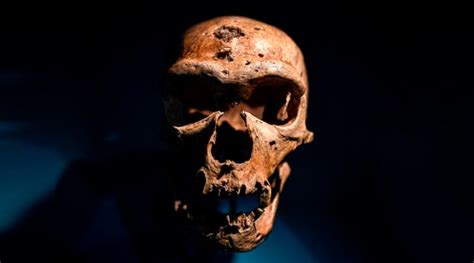 El sexo con humanos llevó a los neandertales a la extinción hace 28 000
