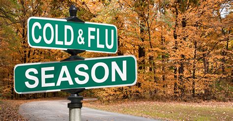Tips For Staying Healthy During Cold Flu Season AYB