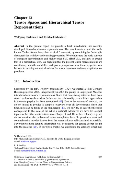 pdf tensor spaces and hierarchical tensor representations