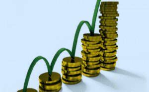 Descubre las dos grandes ramas de la economía y su importancia
