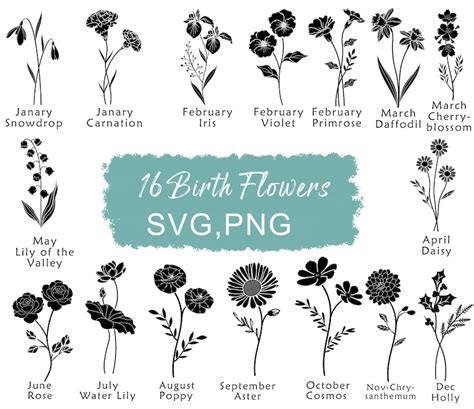 Birth Flower SVG PNG Birth Month Flowers Art Print Outline Etsy