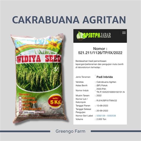 Jual Benih Padi Varietas Cakrabuana Agritan Umur Genjah 5kg Shopee
