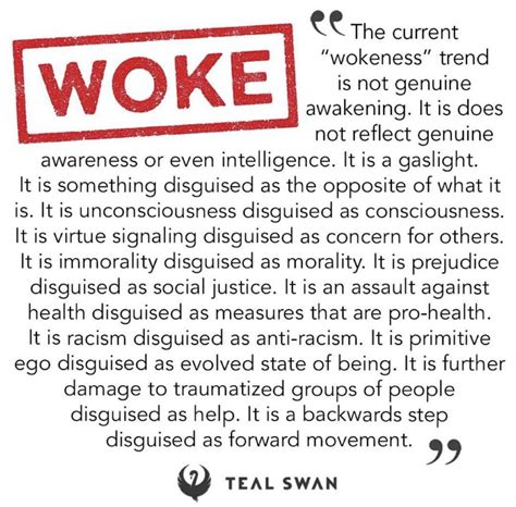 Look Out On Twitter Woke Wokeness Wokeagenda Democrats Democrat