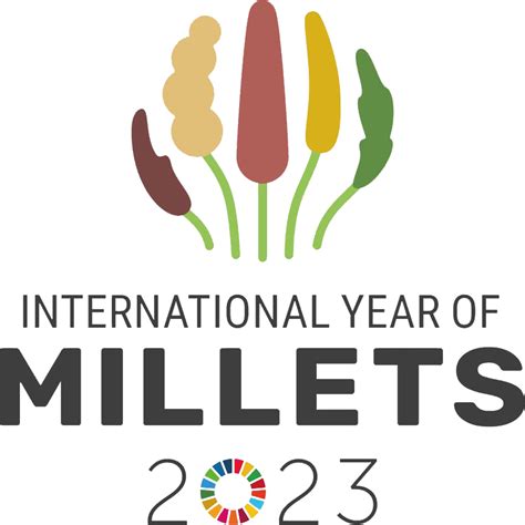 What Is 2024 The International Year Of Image To U