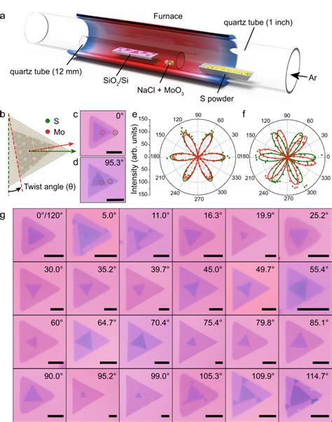 Reconfiguring Nucleation For CVD Growth Of Twisted Bilayer MoS2 With A