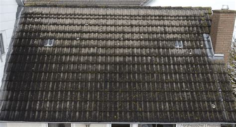 Das Dach Vor Der Installation Einer PV Anlage Reinigen Sonstiges