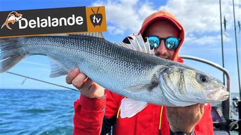 Pêche multi espèce et Pêche du bar aux leurres souples Speed Slim