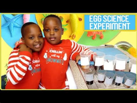 Eggs In Different Liquids Science Experiments Tooth Decay