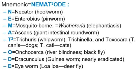 Parasitology Flashcards Quizlet