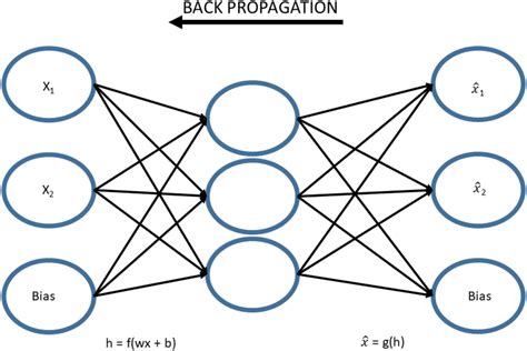 basic architecture of sparse autoencoder download scientific diagram