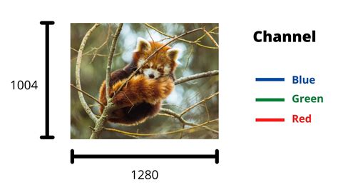 Build A Sequential Model Computer Vision With Keras P Pysource