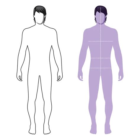 Naked Standing Man Stock Vector Image By Arlatis