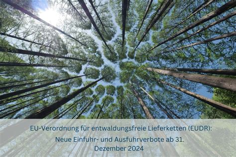 EU Verordnung für entwaldungsfreie Lieferketten EUDR Neue Einfuhr
