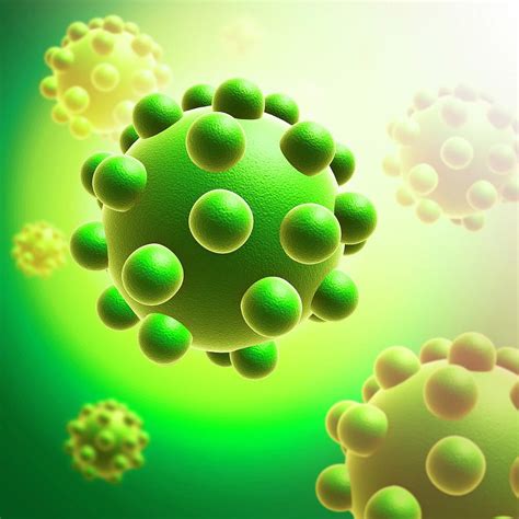Chicken Pox Virus