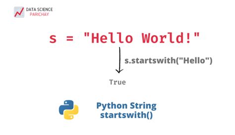 Python String Startswith With Examples Data Science Parichay
