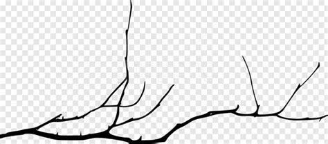 Olive Branch Tree Branch Christmas Tree Branch Tree Branch