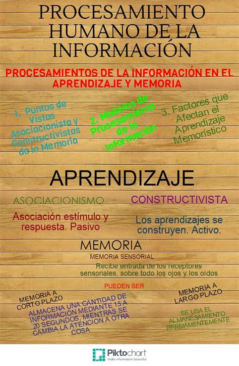 procesamiento humano de la información Estilos de aprendizaje
