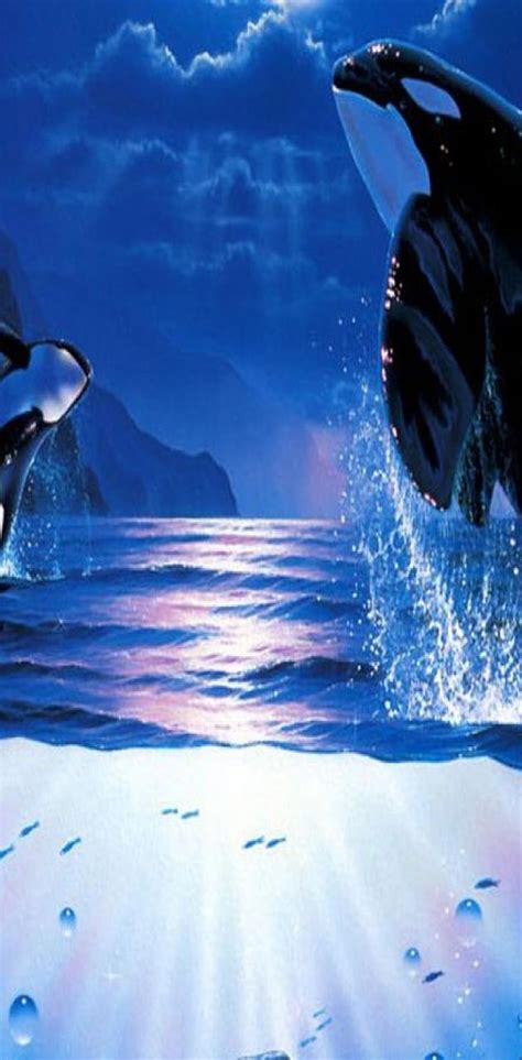 Iphone Orca Wallpapers Wallpaper Cave