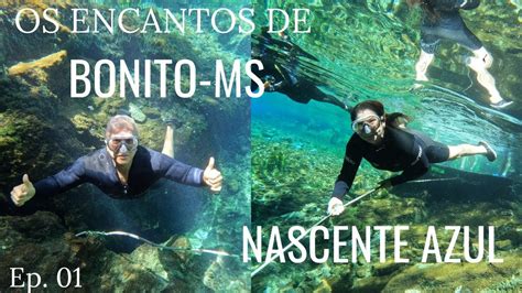 Os encantos de Bonito MS Nesse Ep flutuação na Nascente Azul YouTube