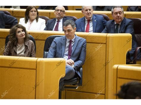 El Presidente Pedro S Nchez Asiste Al Senado A La Sesi N De Control Al