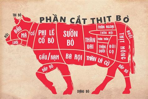 Top 13 nạm bò là gì