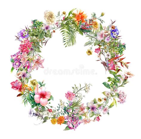 Mazzo Di Stile Multicolore Della Pittura Dell Acquerello Dei Fiori
