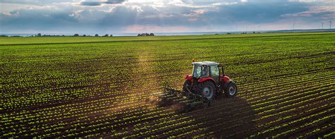 Saiba como alavancar a agricultura sustentável DID