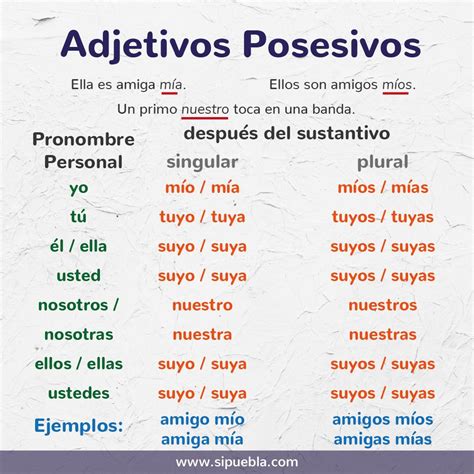 Adjetivos Posesivos Y Pronombres Posesivos Escuela Otosection