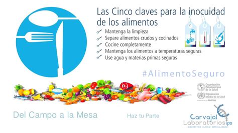 Cinco Claves Para La Inocuidad De Los Alimentos Diamundialdelasalud