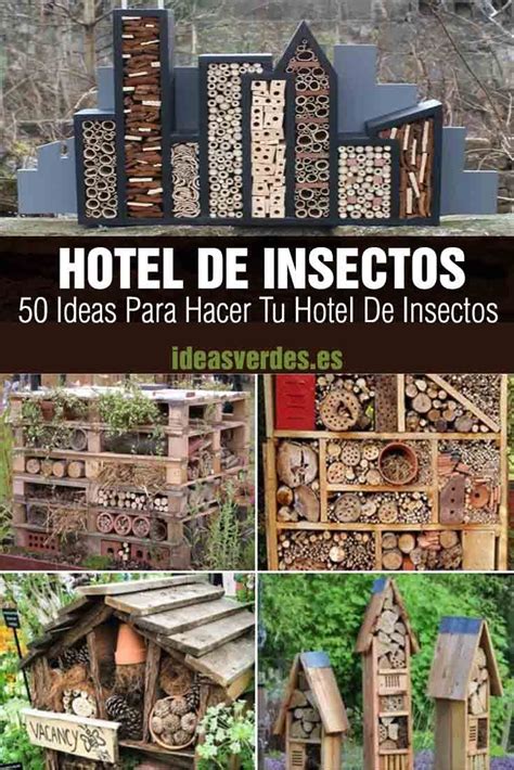 Hotel De Insectos Casero Ideas Para Hacer Uno Paso A Paso Artofit