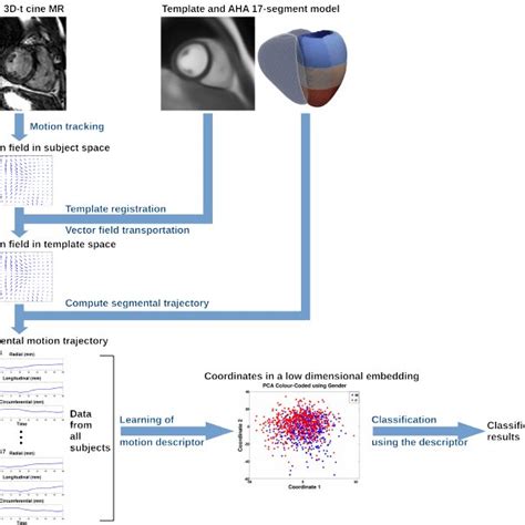 the flowchart consists of motion tracking spatial normalisation download scientific diagram