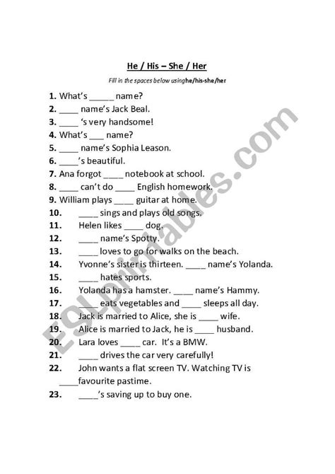 Fill In The Gaps Using The He His She Her Grammar Worksheets