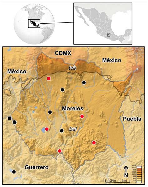 Map Of Morelos State Mexico With The Known Distribution Of A Aquila