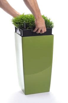 Hydroponika czyli nowoczesna uprawa roślin Narzedzia pl