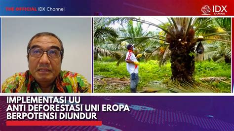 Implementasi UU Anti Deforestasi Uni Eropa Berpotensi Diundur IDX