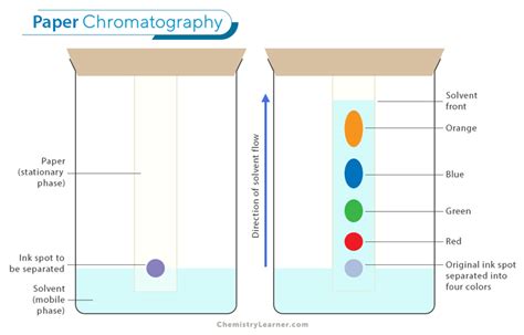 Paper Chromatography Definition Procedure Applications