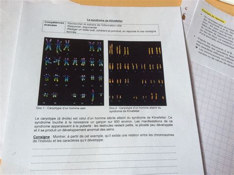 Devoir Maison Svt 3eme Genetique Ventana Blog