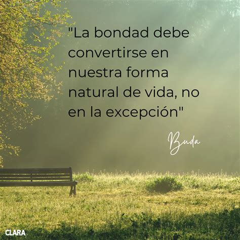Total 80 Imagen Imagen Con Frases Positivas De La Vida Abzlocal Mx