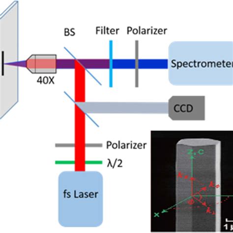 Color Online Schematic Representation Of The Experimental