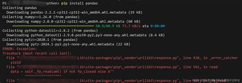 python pip安装第三方库失败error exception traceback most recent call last 问题 downloading pip 24 1 2