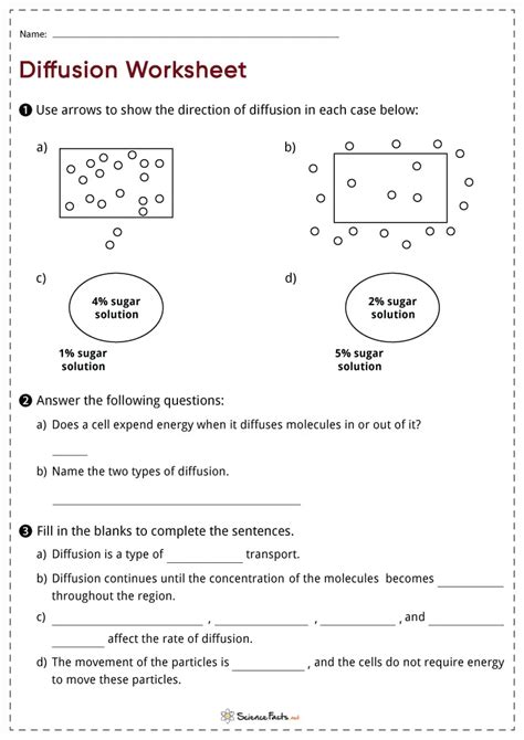 Diffusion And Osmosis Worksheet