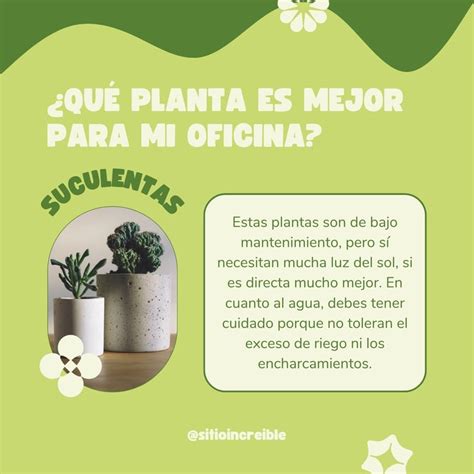 Plantillas Plantas Gratis Y Editables Canva