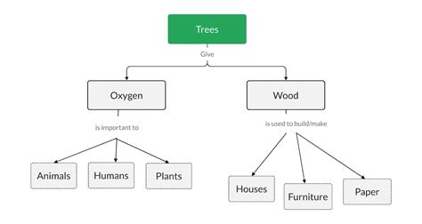 How To Make A Concept Map Beginners Guide Templates