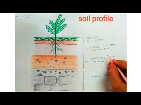 How To Draw Soil Profile Diagram YouTube
