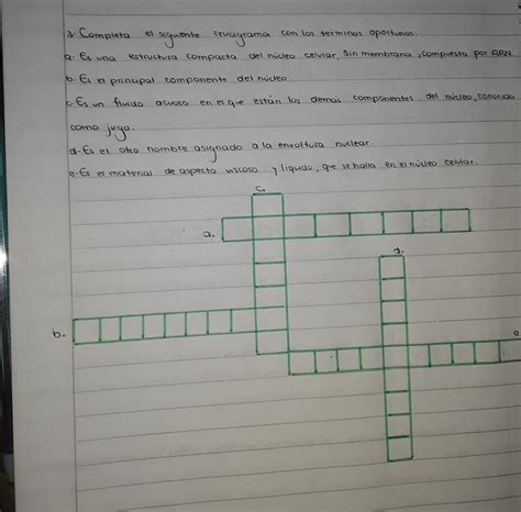completa el siguiente crucigrama con los términos oportunos Brainly lat