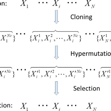 a hybrid clonal selection algorithm with modified combinatorial recombination and success
